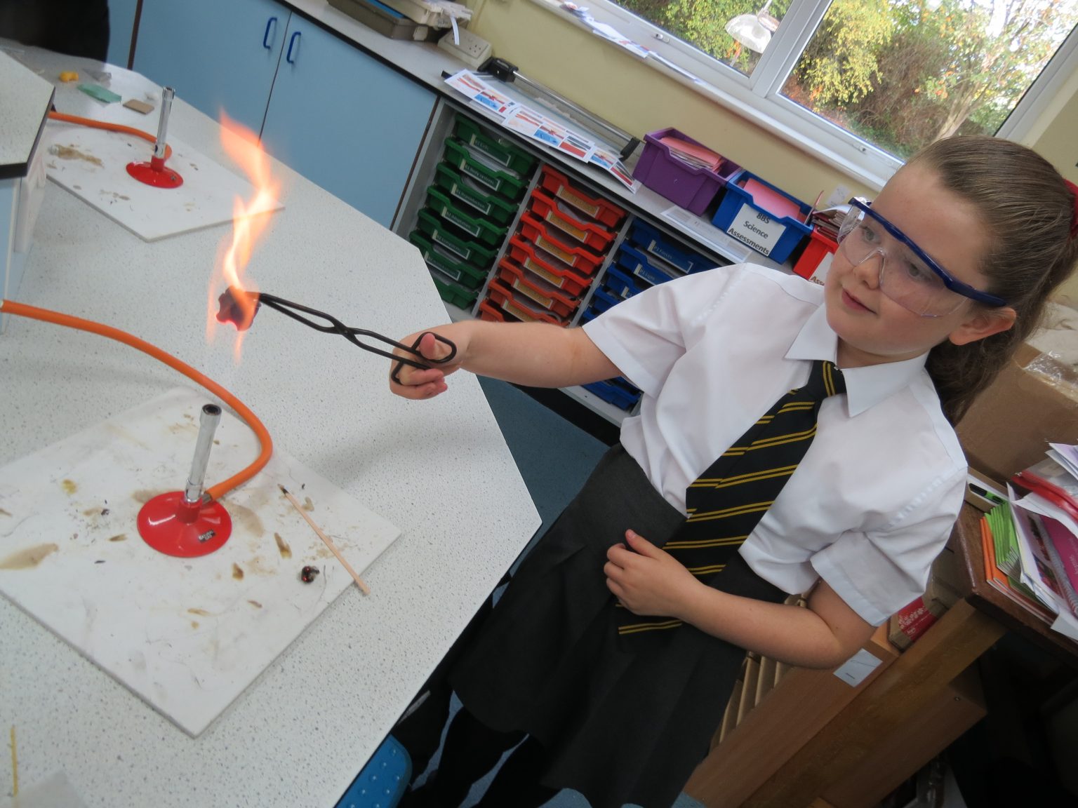 Science – Holywell School